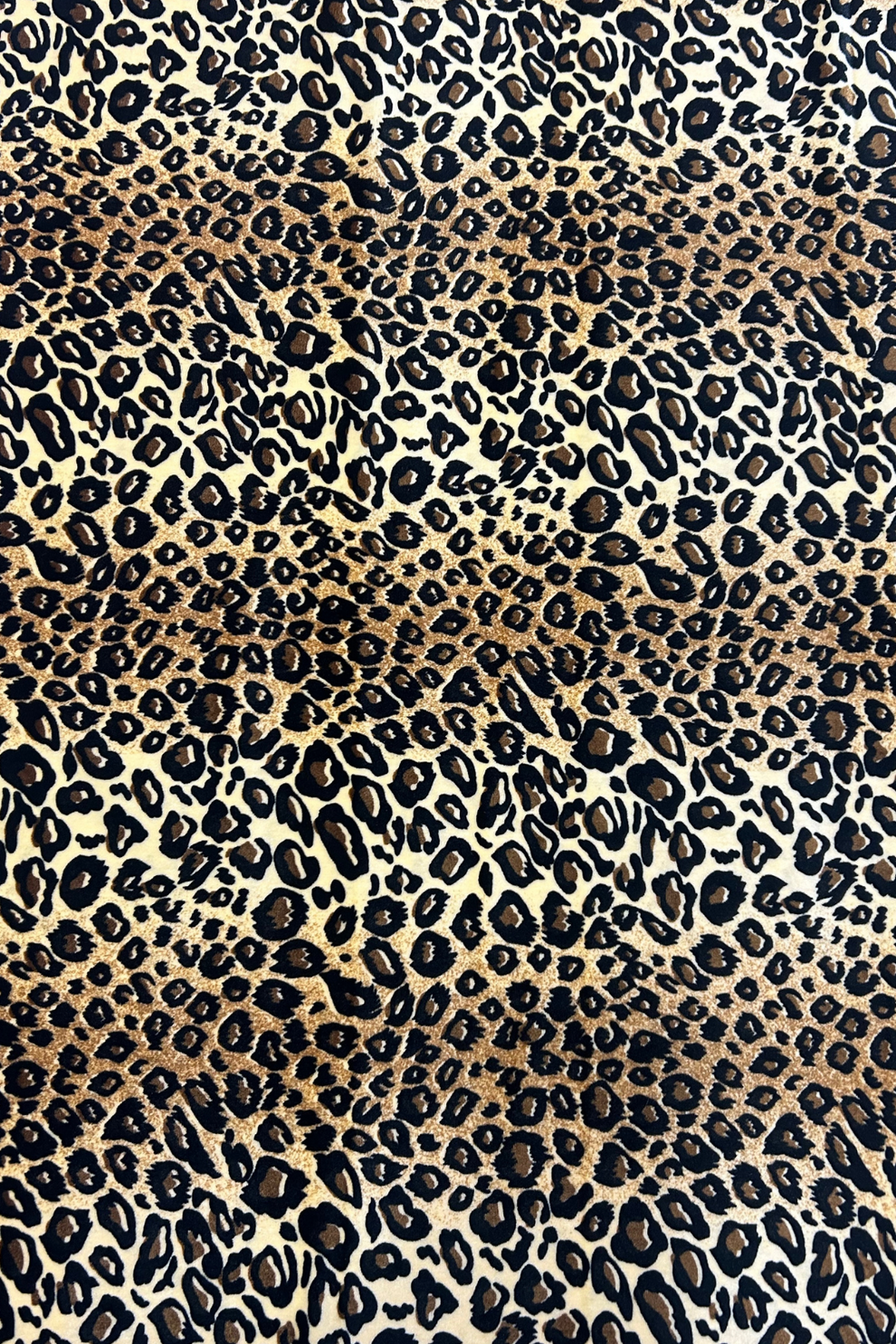 Leopard Velvet Fabric – Dance and Design Fabrics